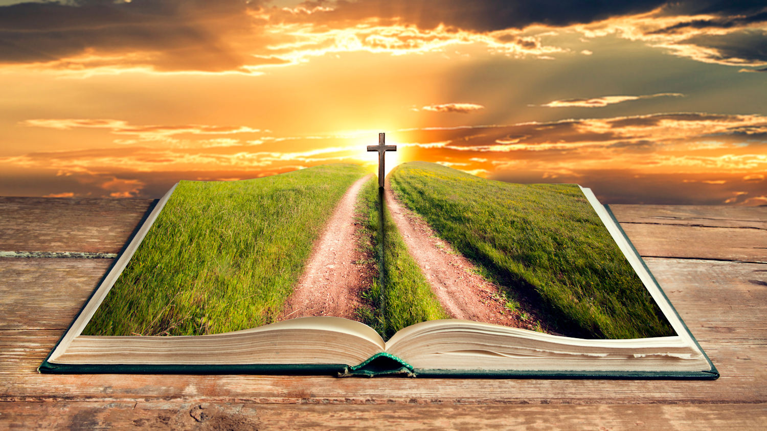 Daily Bible Readings - Barryroe Parish